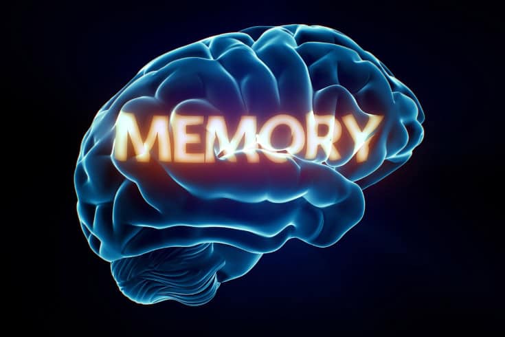 What does the word "cognitive" mean?